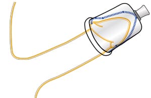Whopper Penis Pump - Dr. Joel Kaplan